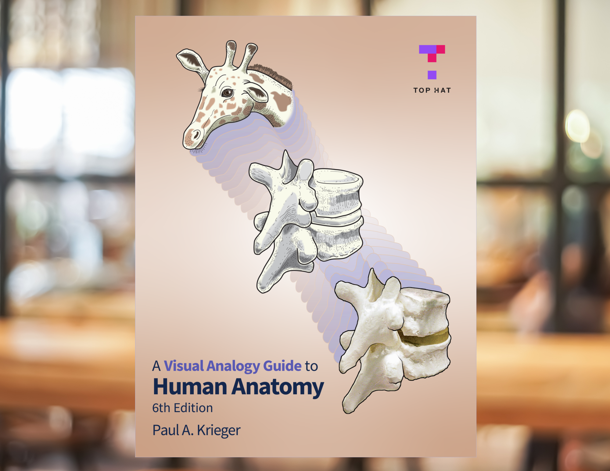 2025 TAA Virtual Conference Bookstore Featured Book: 'A Visual Analogy Guide to Human Anatomy ...
